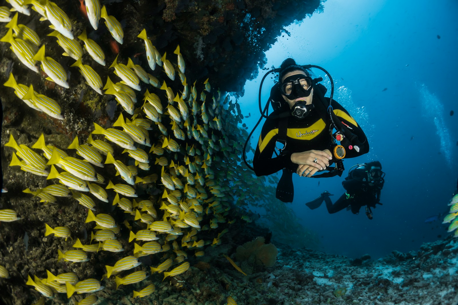 Understanding and Improving Your SAC Rate: A Diver's Guide | Scuba ...